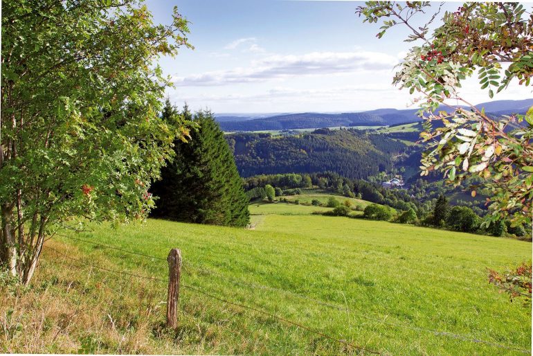 Winterberg in de zomer | ACSI FreeLife