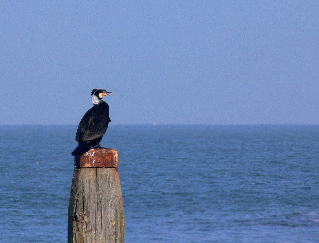 Nederland in 4 seizoenen: Rondje IJsselmeer
