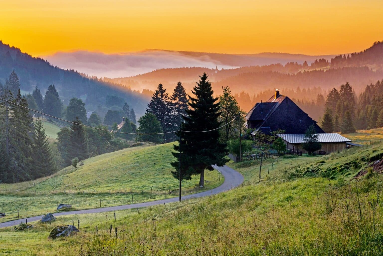 A walk in the black forest | Vakantie in het Zwarte Woud | ACSI FreeLife