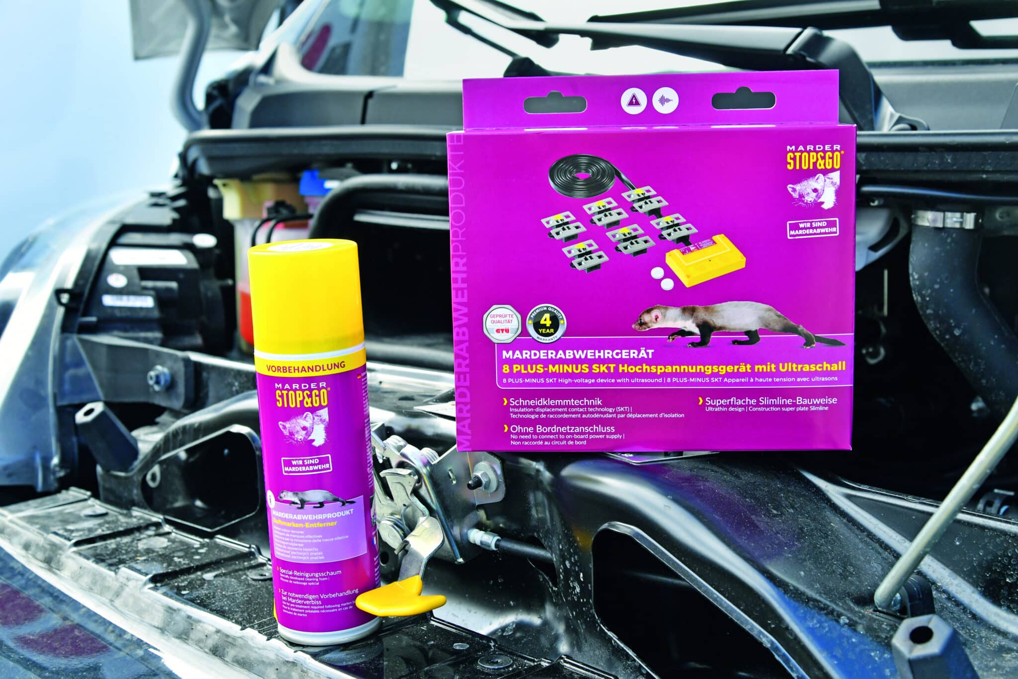 Steenmarter verjagen: bescherm je auto en camper